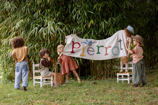 Pierrot Studio